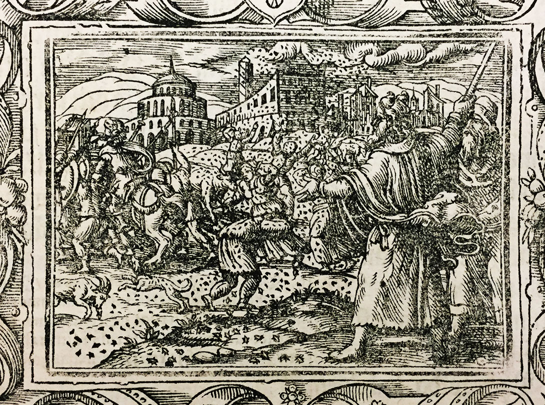 _IMG_3720 – Shakespeare for absolute beginners